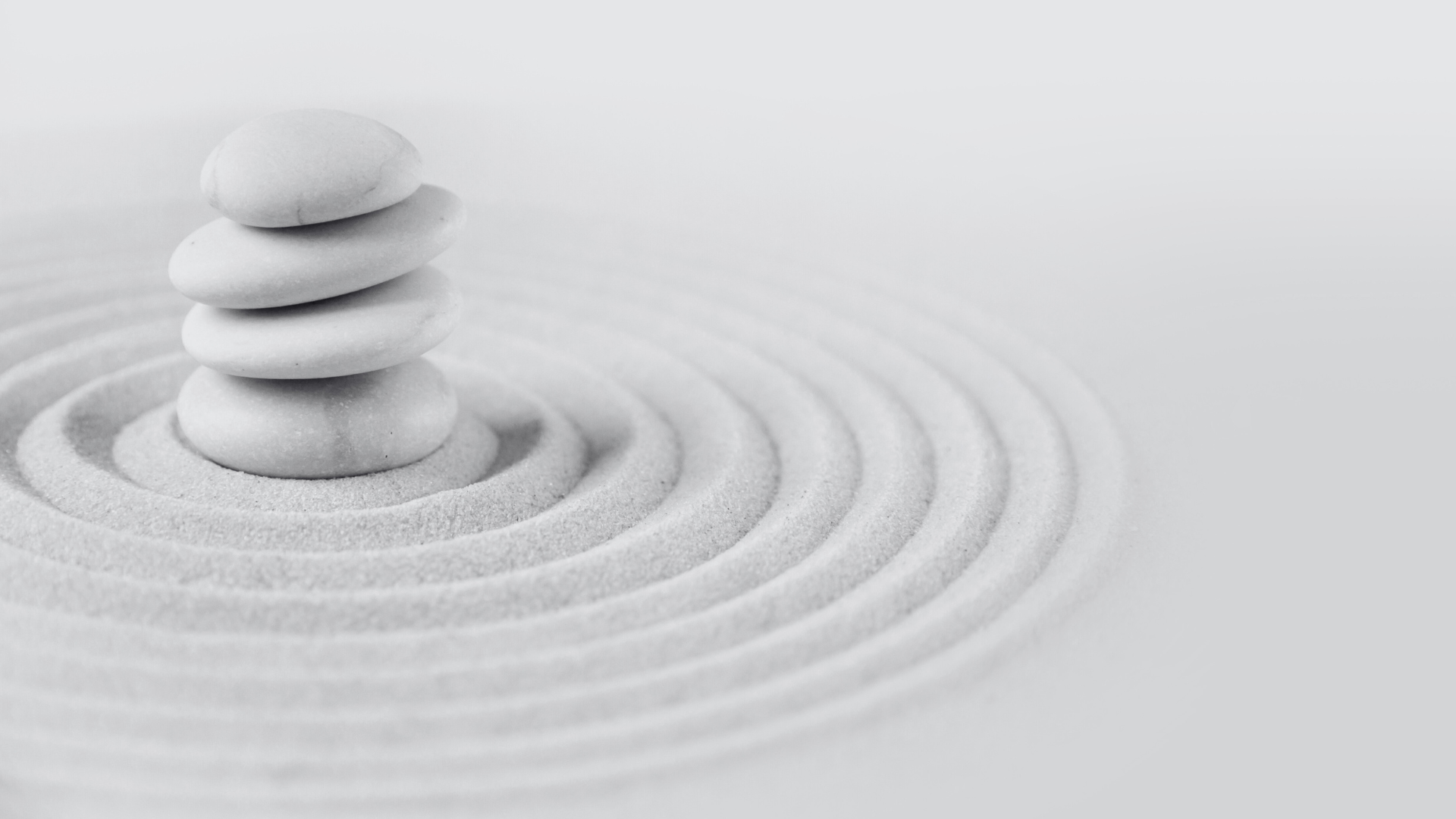 Digital Zen: How to focus in the Noise – Our Family in Two Homes